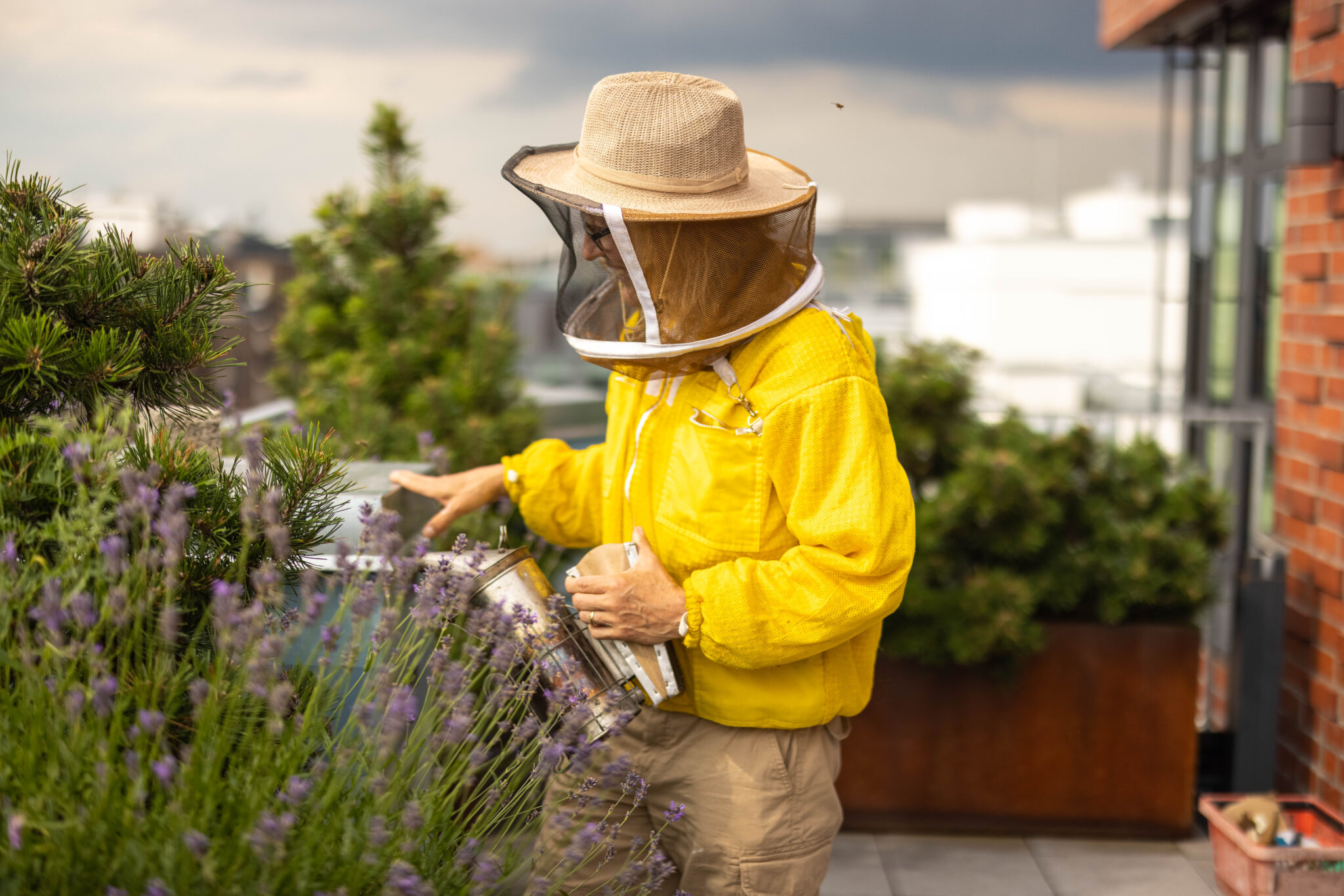 Contribution to Society - HOYER Handel GmbH