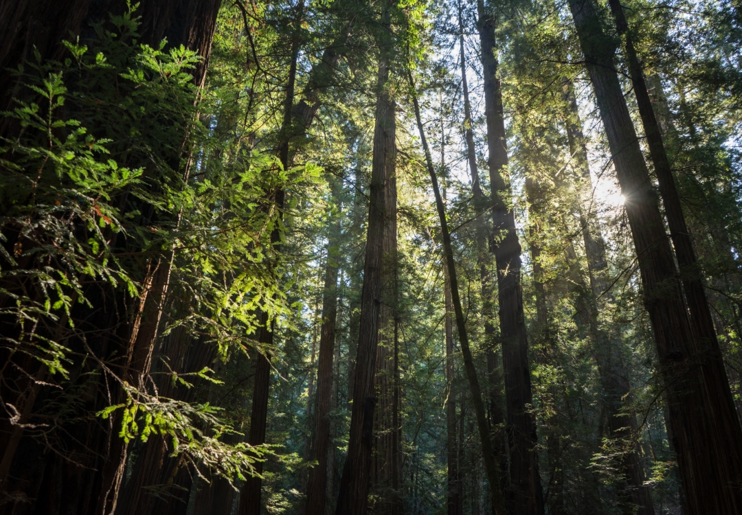 Unser Engagement - HOYER Handel GmbH